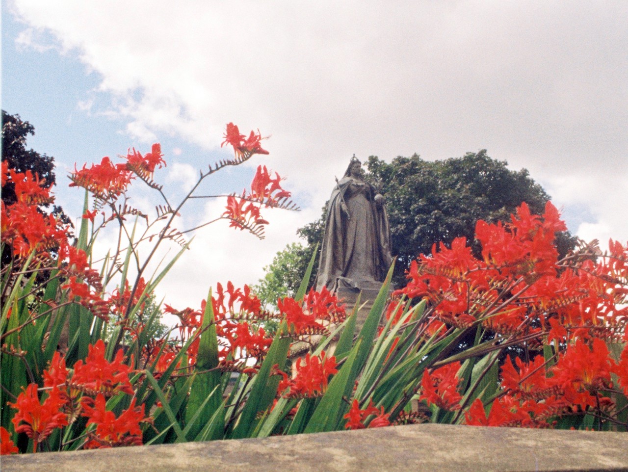 000018 – Camera Go Camera