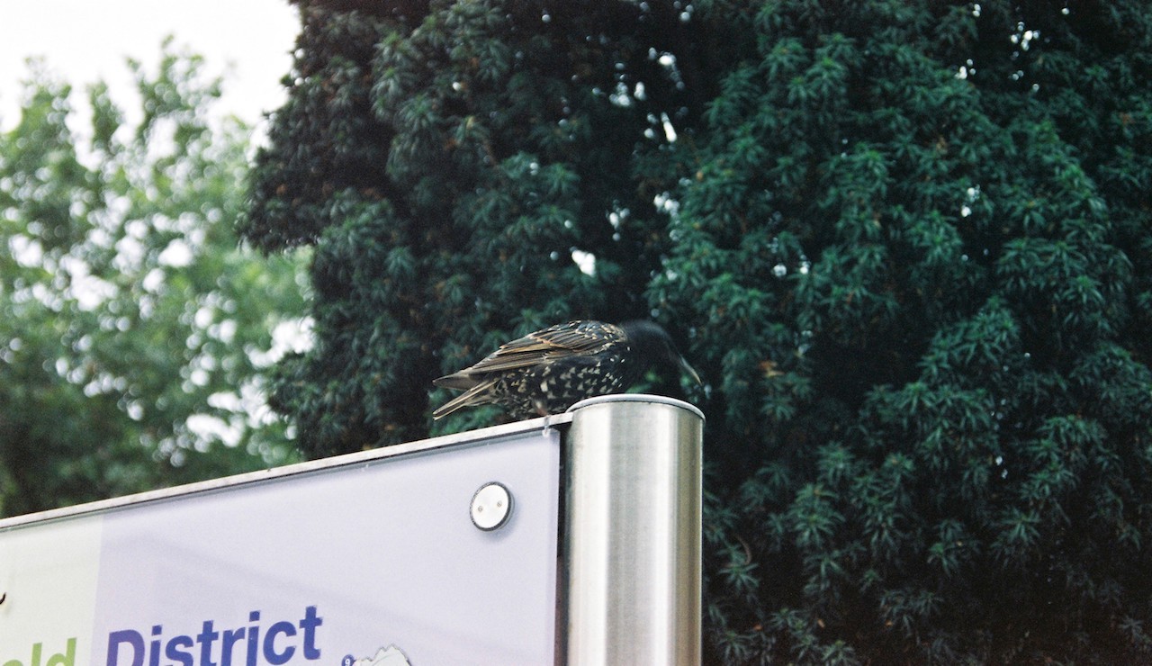 000027 – Camera Go Camera