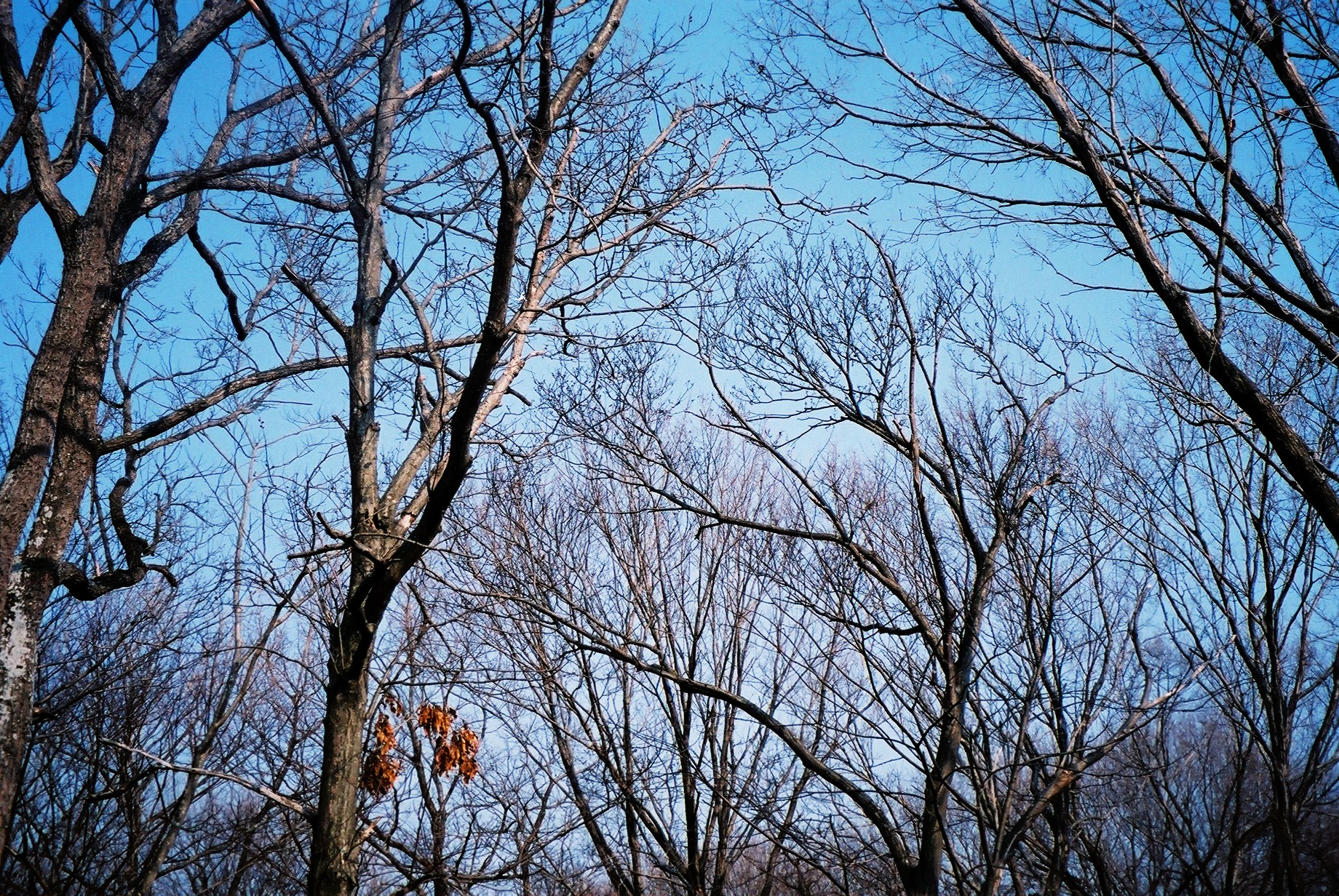 FH000018 – Camera Go Camera