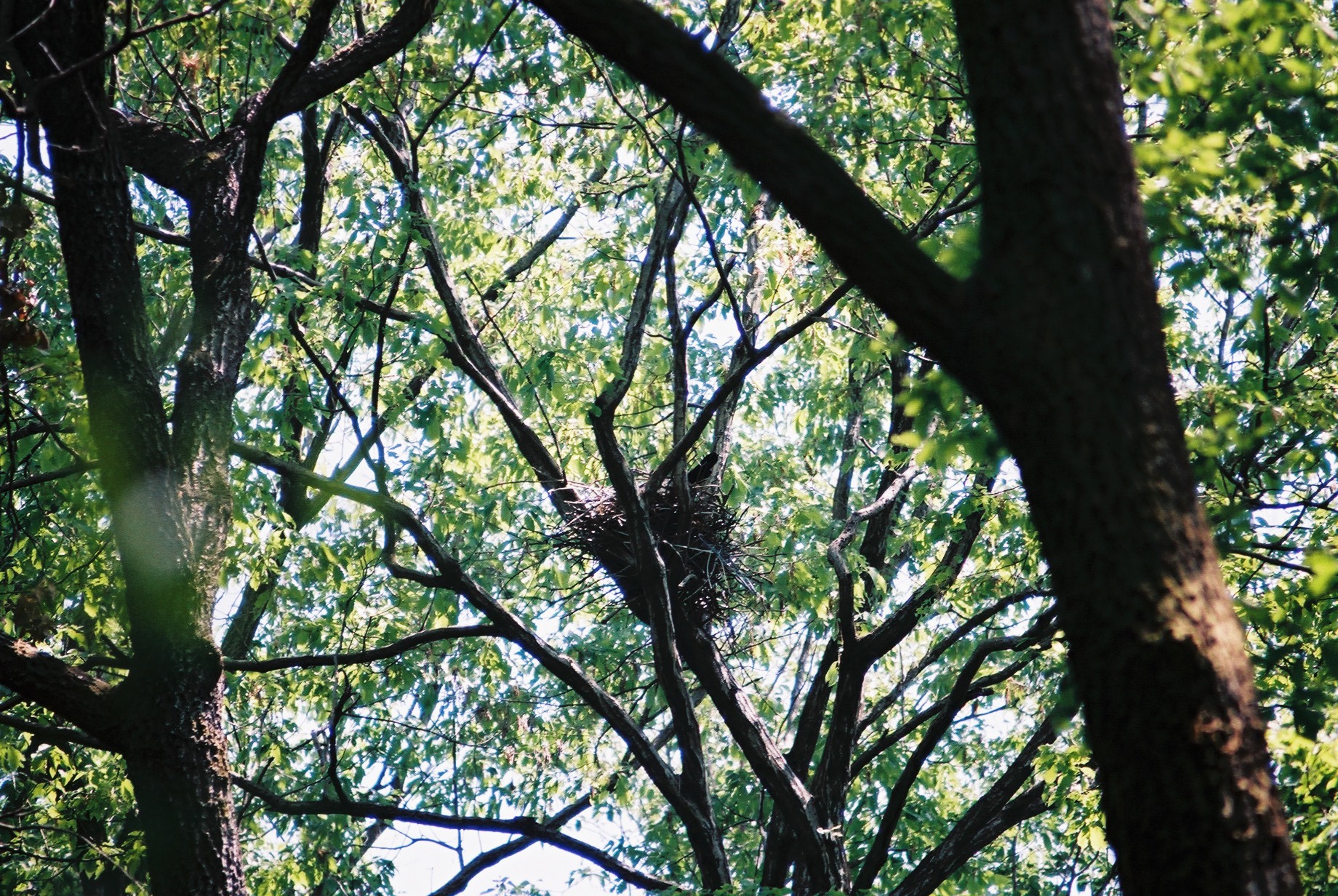 Pentax MZ-30 (ZX-30) – Camera Go Camera