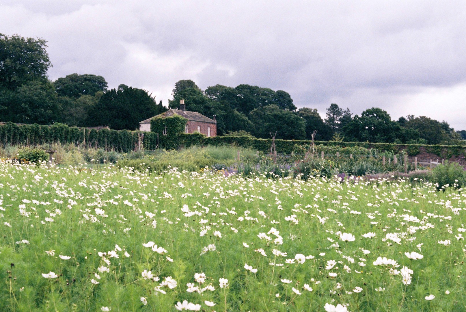 000011 – Camera Go Camera