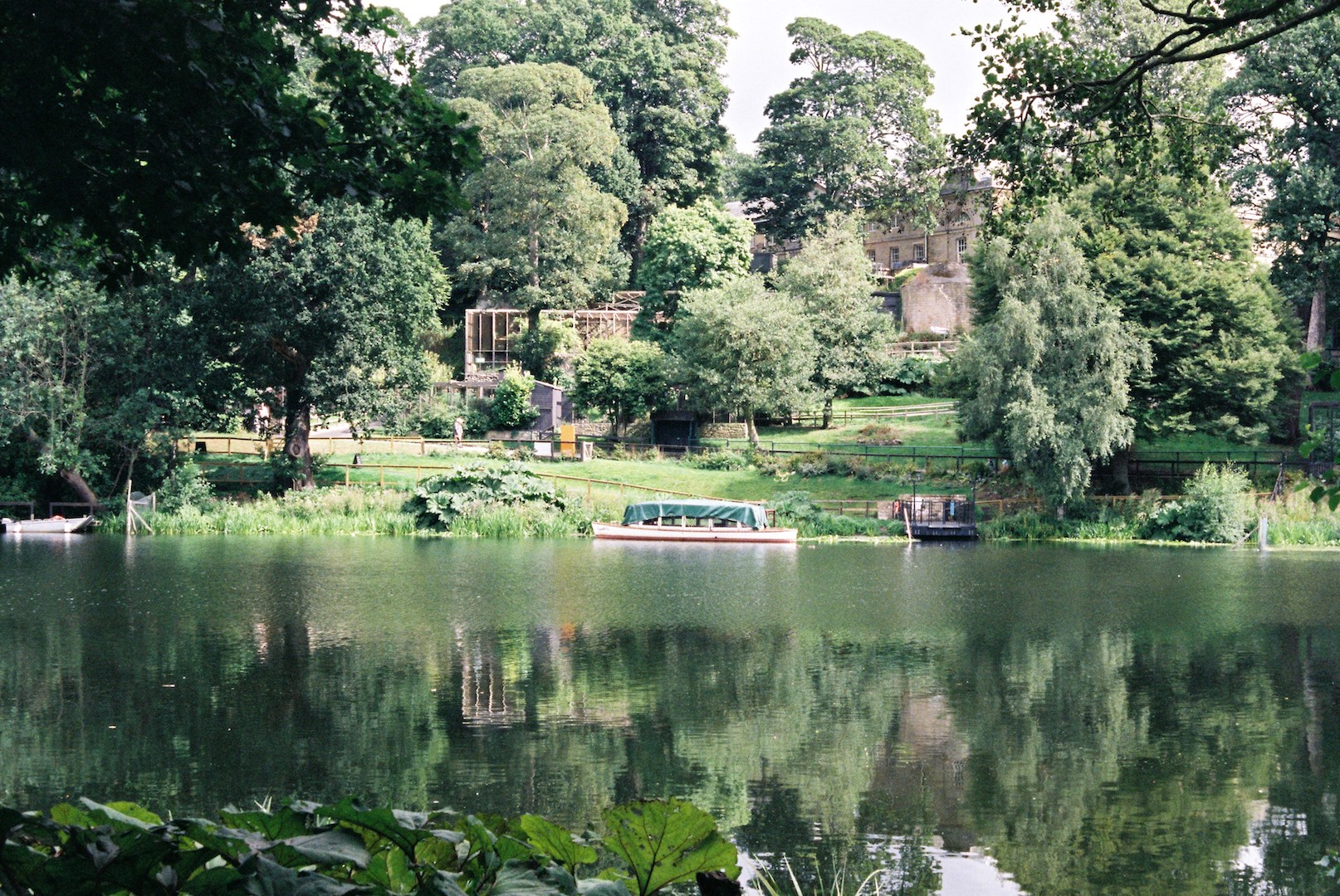 000028 – Camera Go Camera