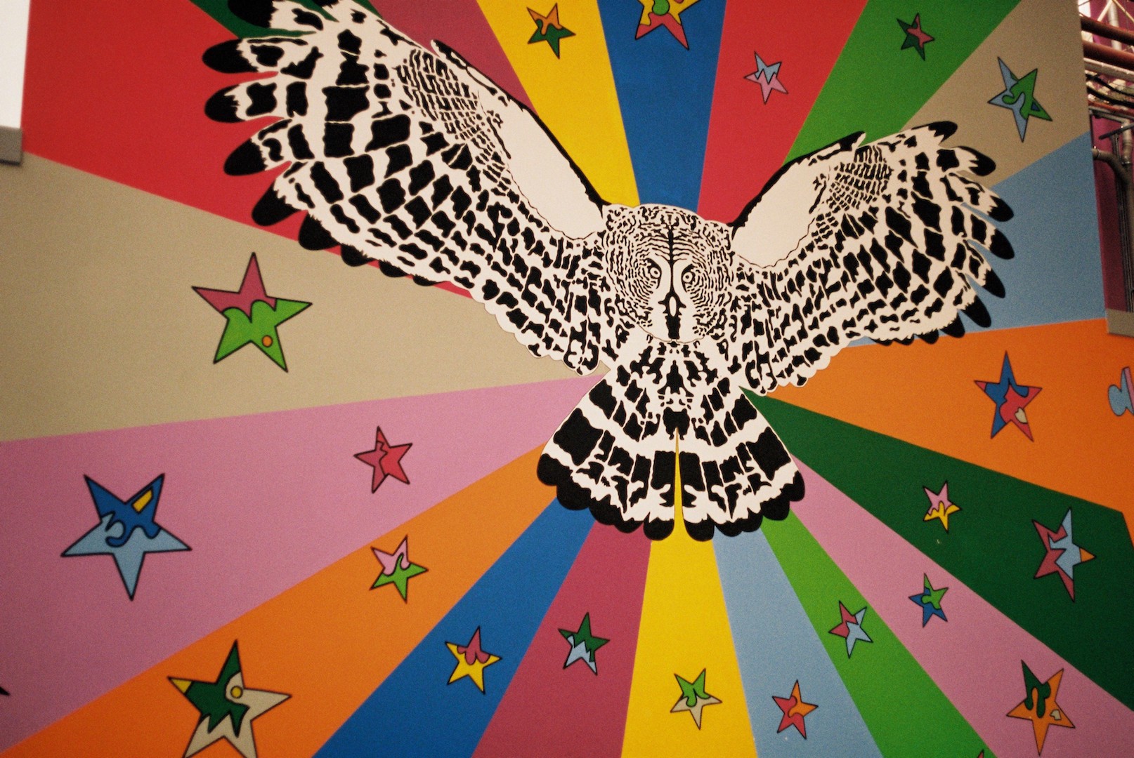 000033 – Camera Go Camera