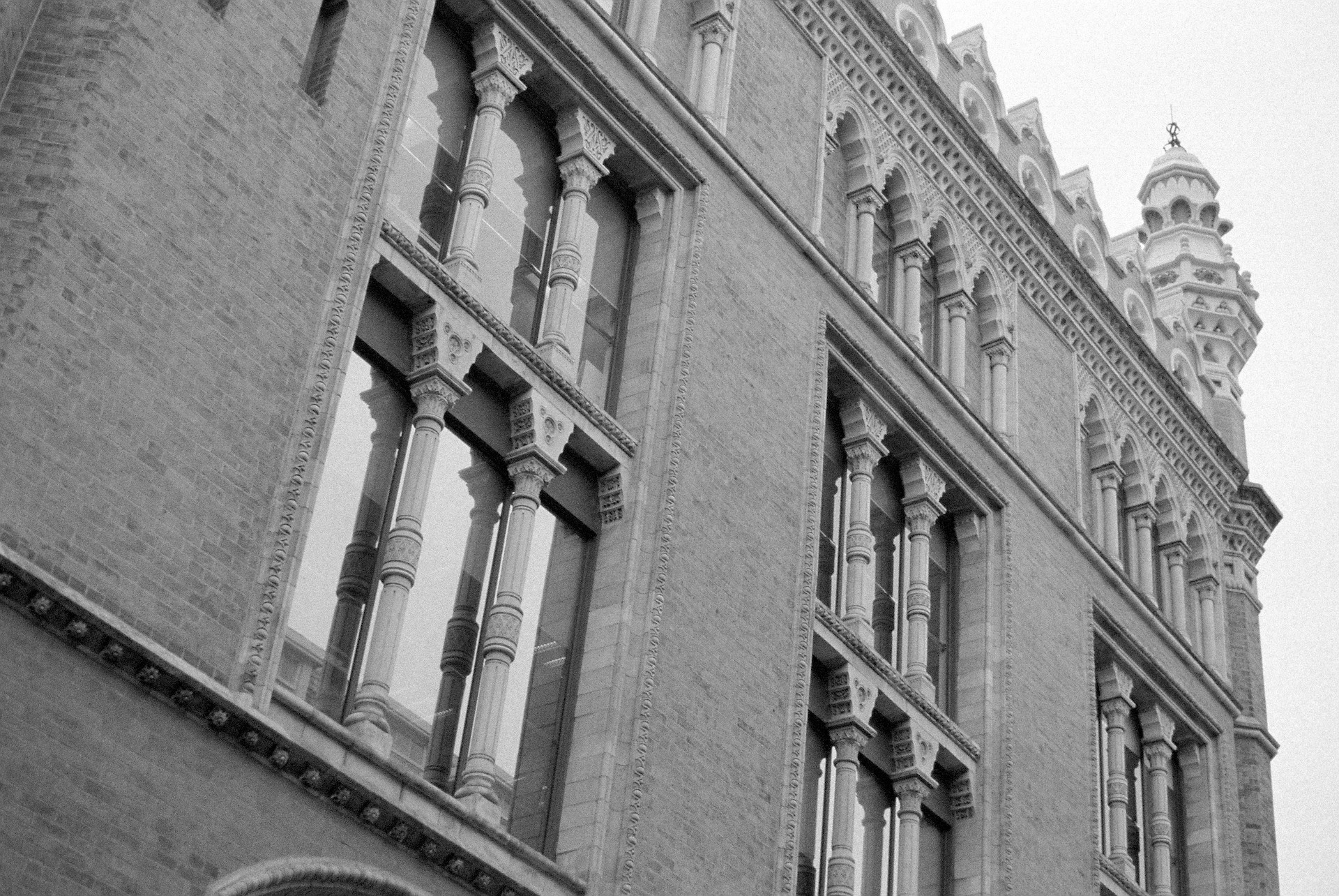 000023 – Camera Go Camera