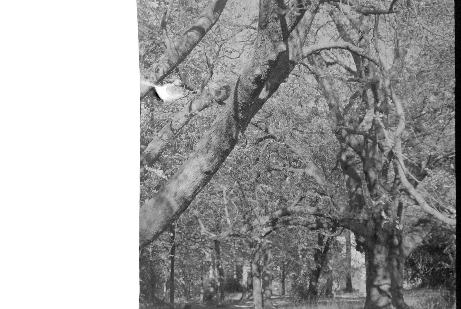 000043 – Camera Go Camera