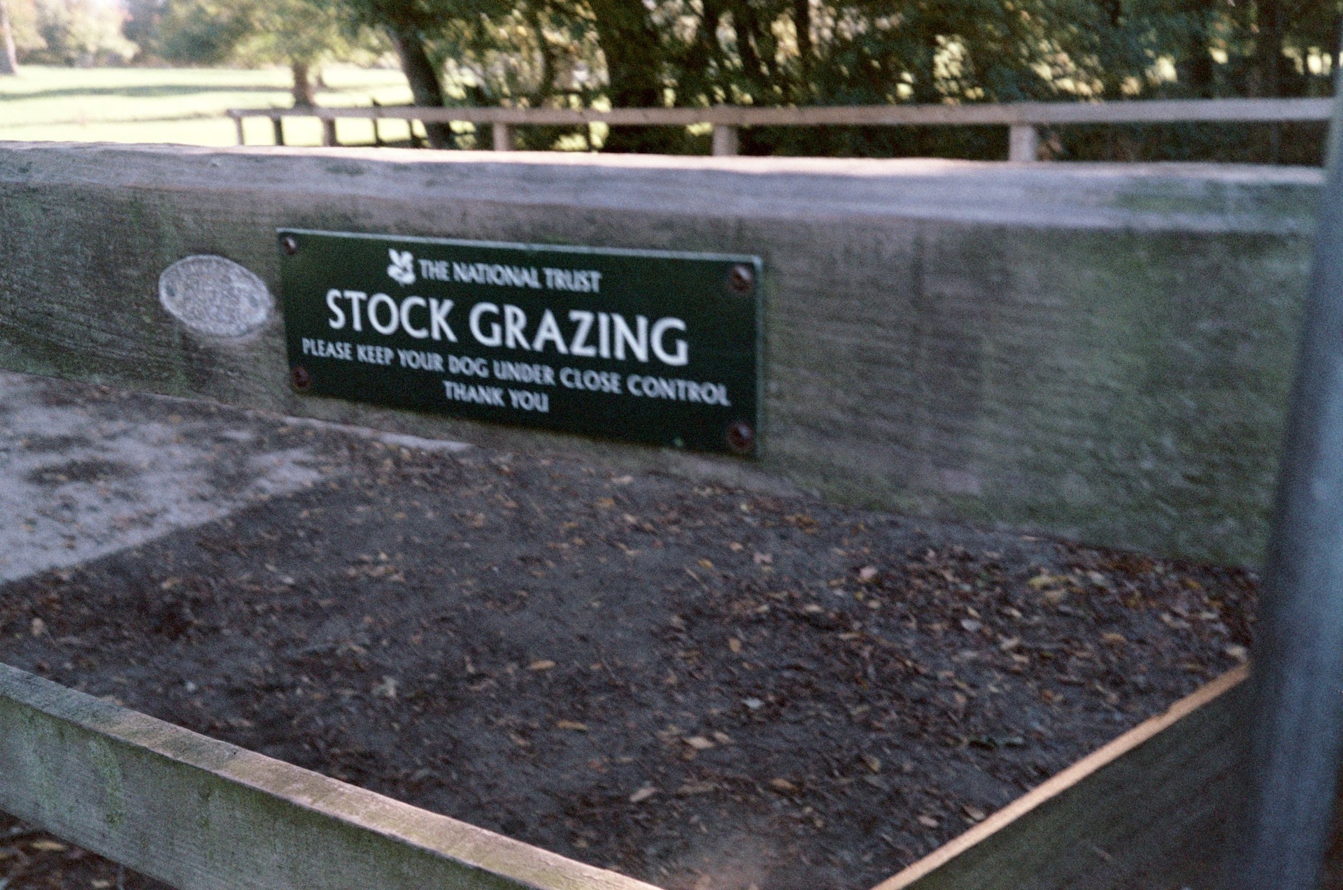 006_19A – Camera Go Camera