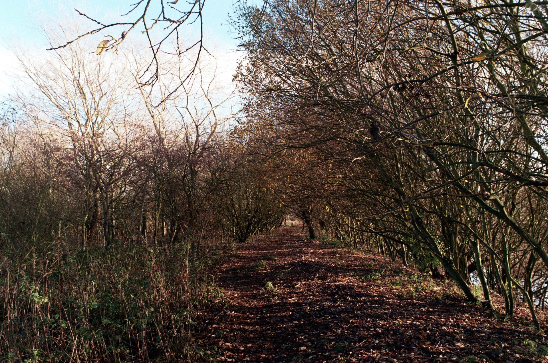 006_19A – Camera Go Camera