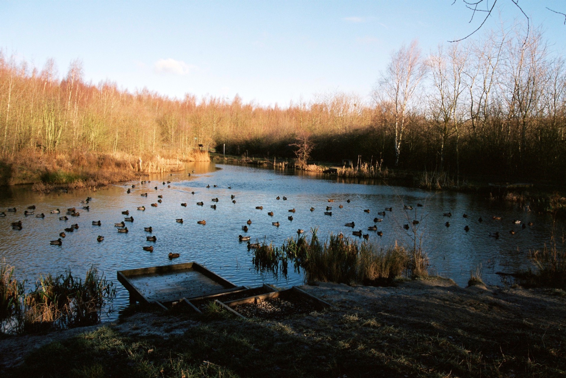 000018 – Camera Go Camera