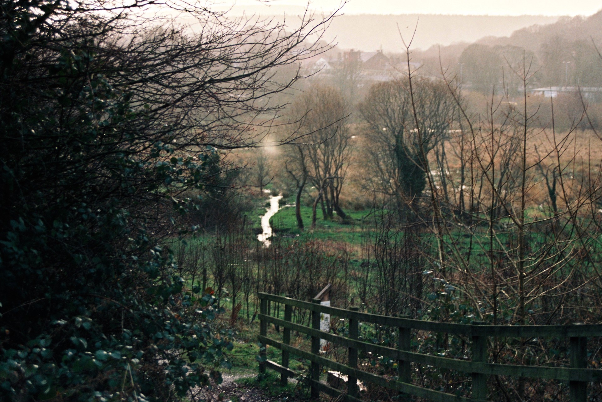 000025 – Camera Go Camera