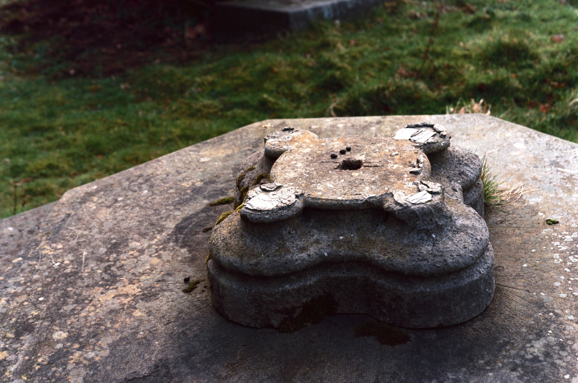 2019_03_23-ricoh-kr-10-ekta-100-castle-hill-033 – Camera Go Camera