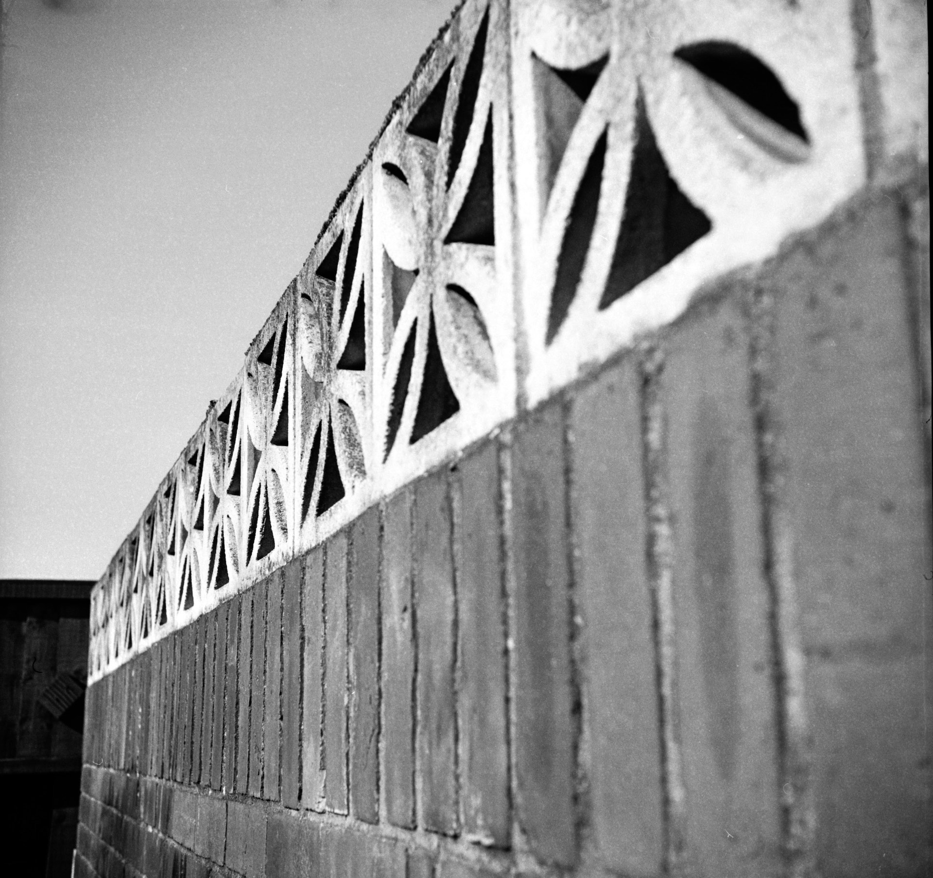 2019_03_30-adox-golf-t-max-400-outwood-006 – Camera Go Camera