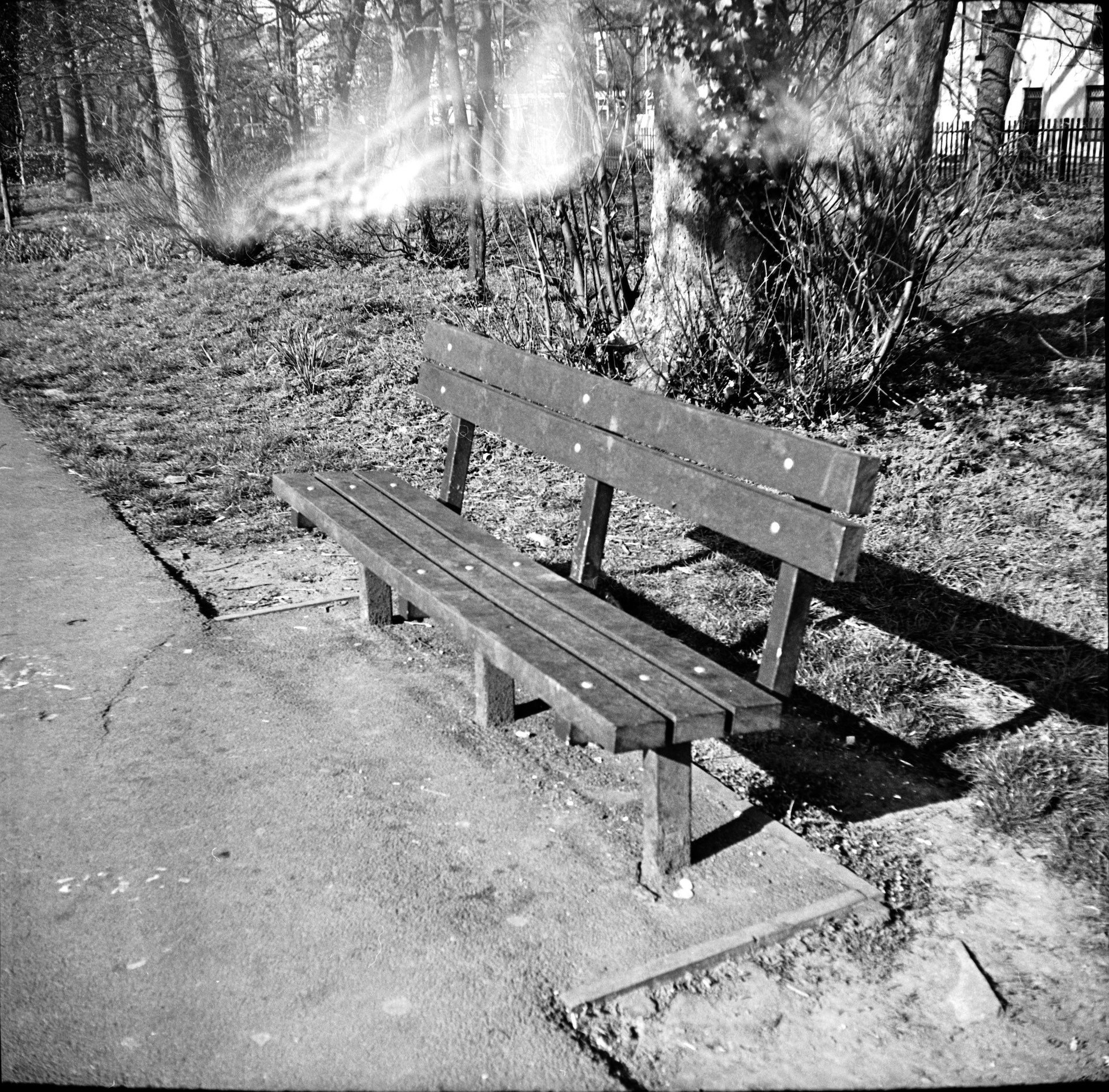 2019_03_30-adox-golf-t-max-400-outwood-011 – Camera Go Camera