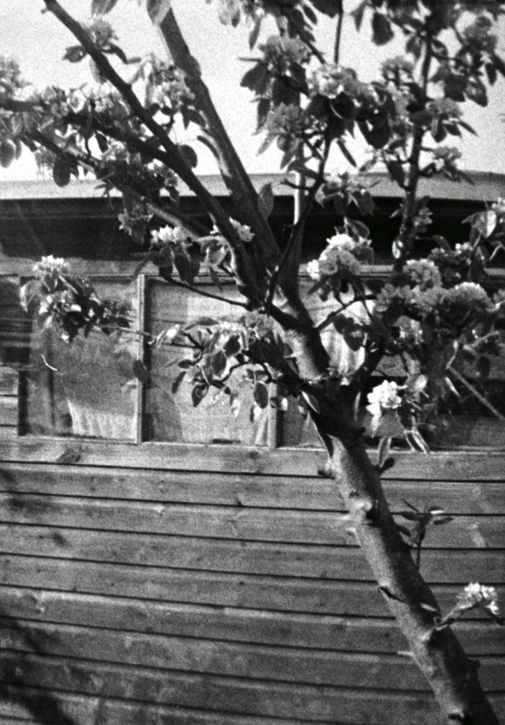 06-shed – Camera Go Camera