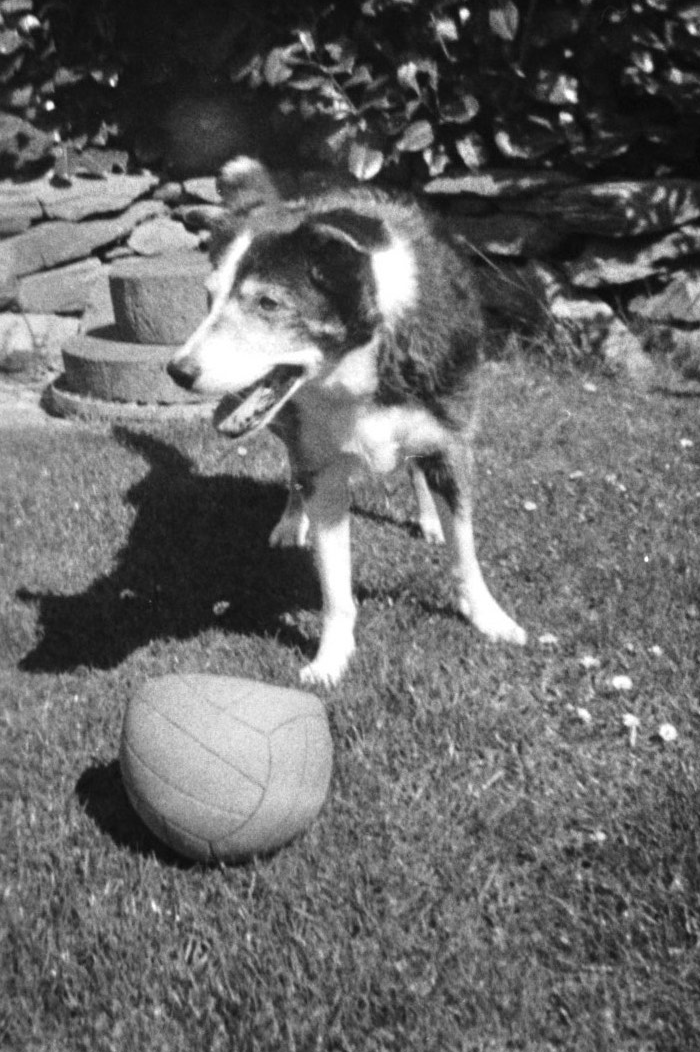 07-ollie-ball – Camera Go Camera