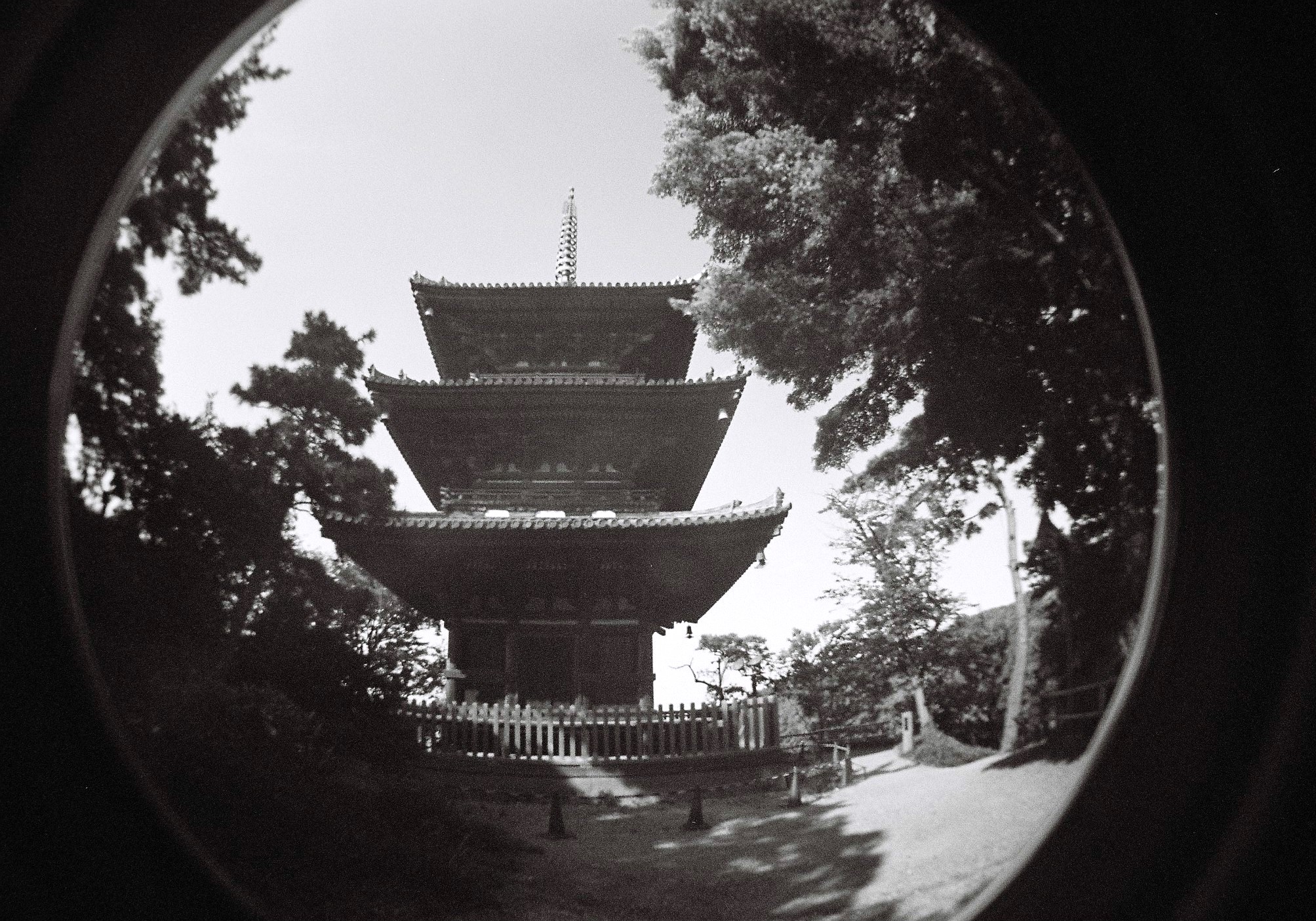 000026 – Camera Go Camera
