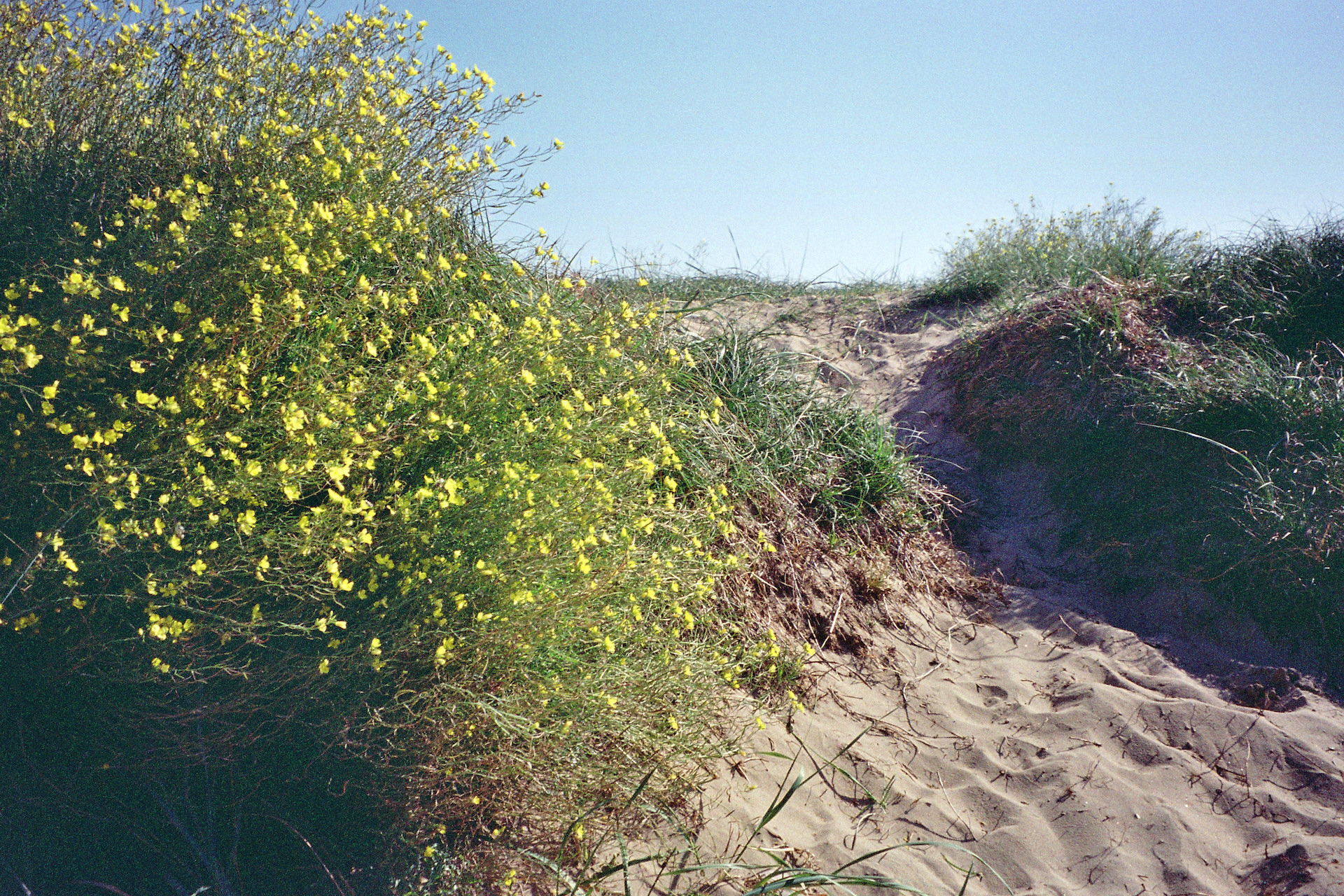 photo22_18a – Camera Go Camera