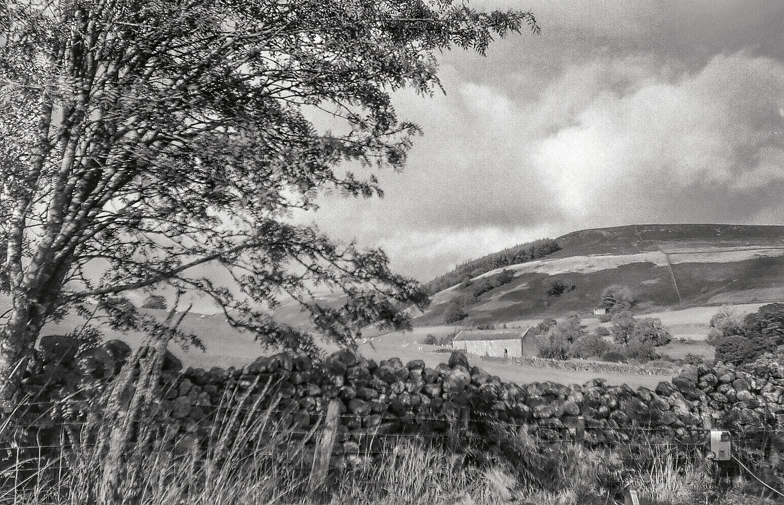 snapseed-05 – Camera Go Camera