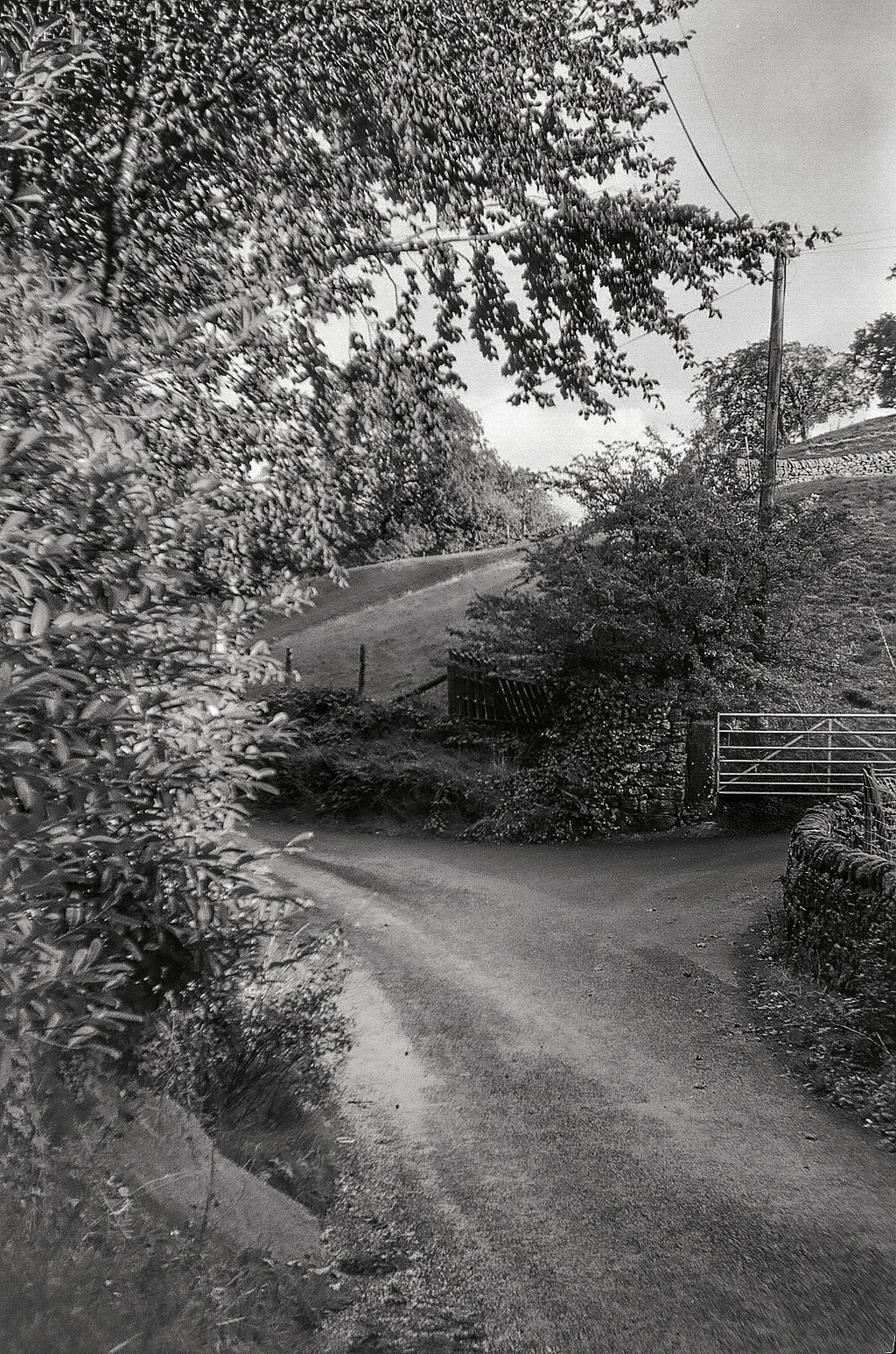 snapseed-06 – Camera Go Camera