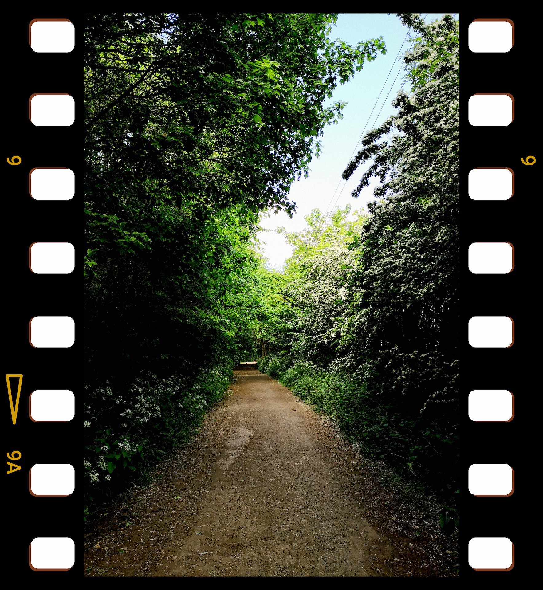 Vignette Film Emulator – Camera Go Camera