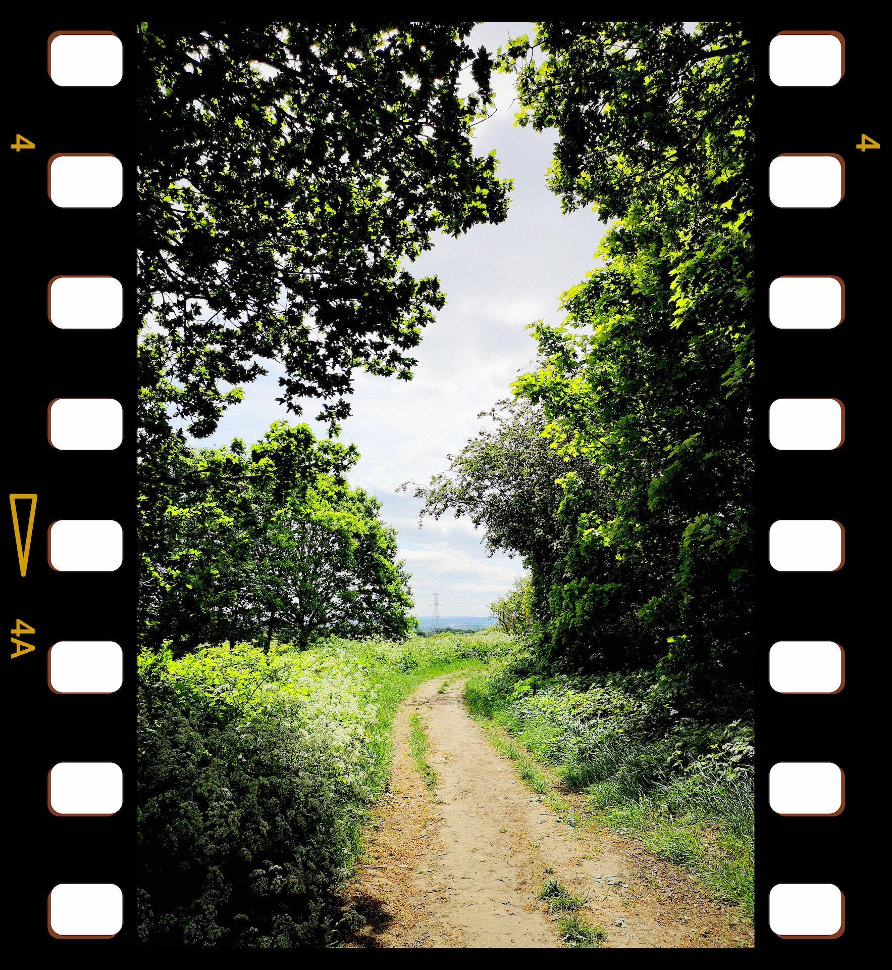 Vignette Film Emulator – Camera Go Camera