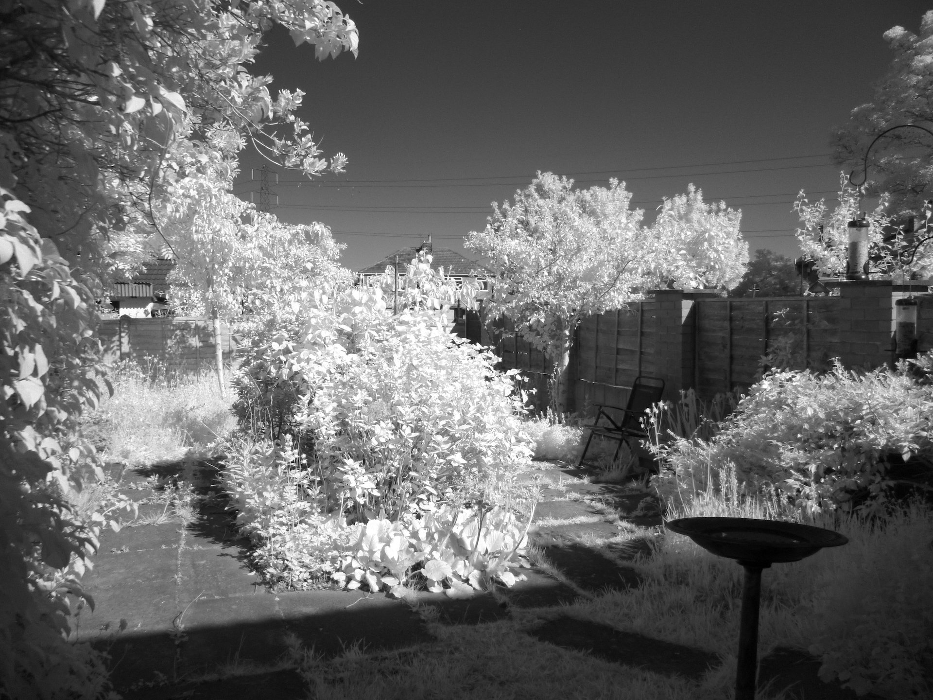 Infrared Conversion of Panasonic Digital Camera – Camera Go Camera
