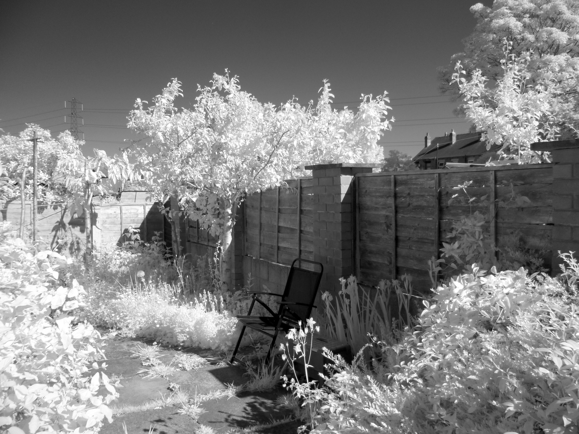 Infrared Conversion of Panasonic Digital Camera – Camera Go Camera