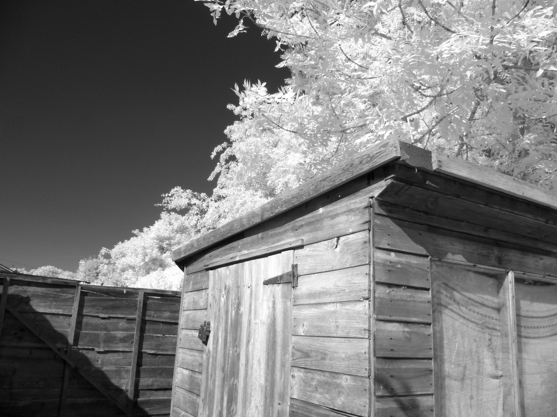 Infrared Conversion of Panasonic Digital Camera – Camera Go Camera