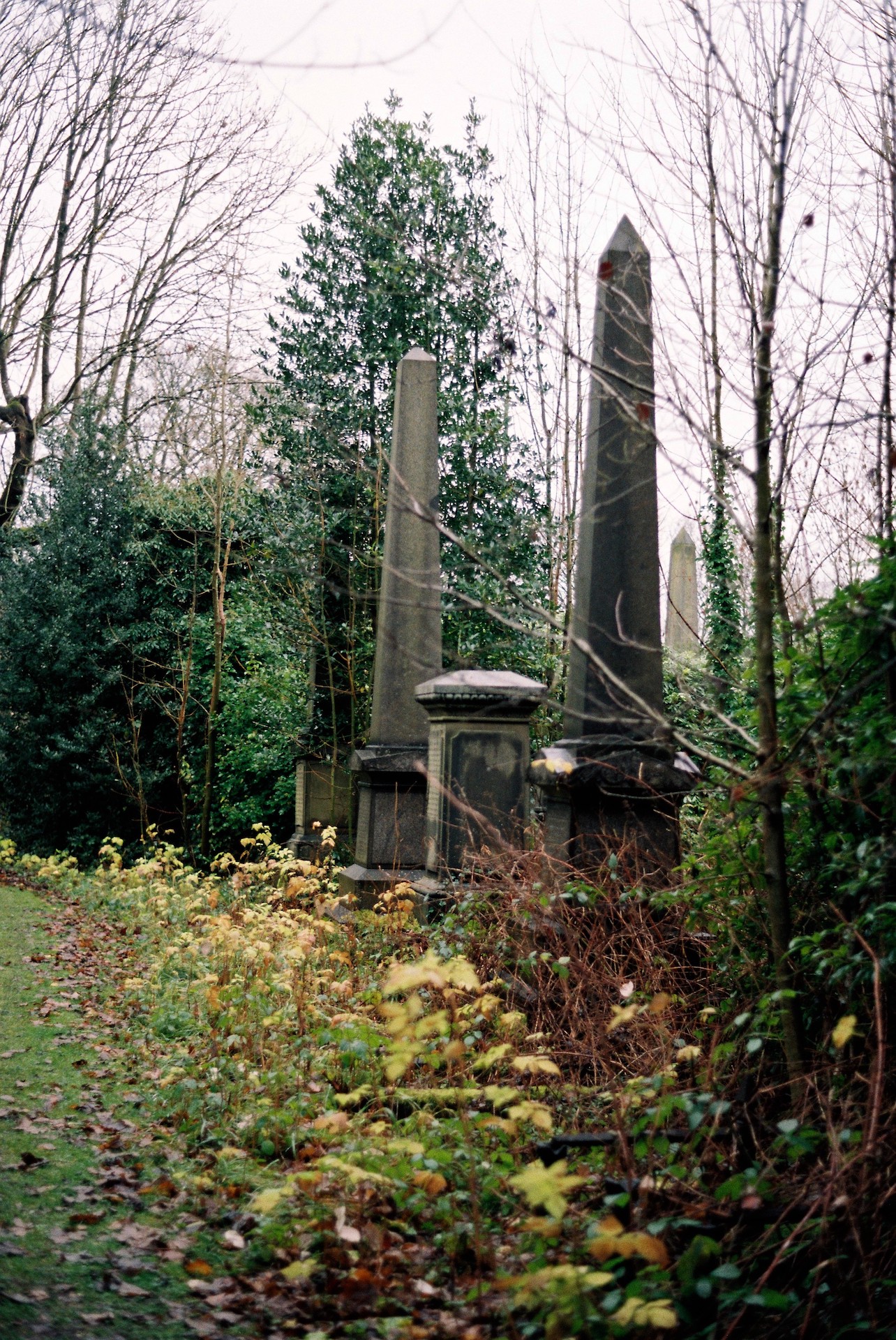 000007-1 – Camera Go Camera