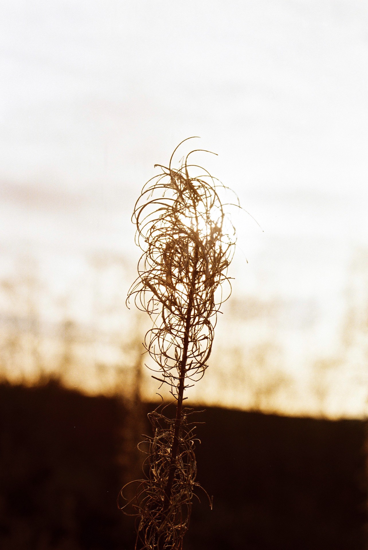 000011 – Camera Go Camera