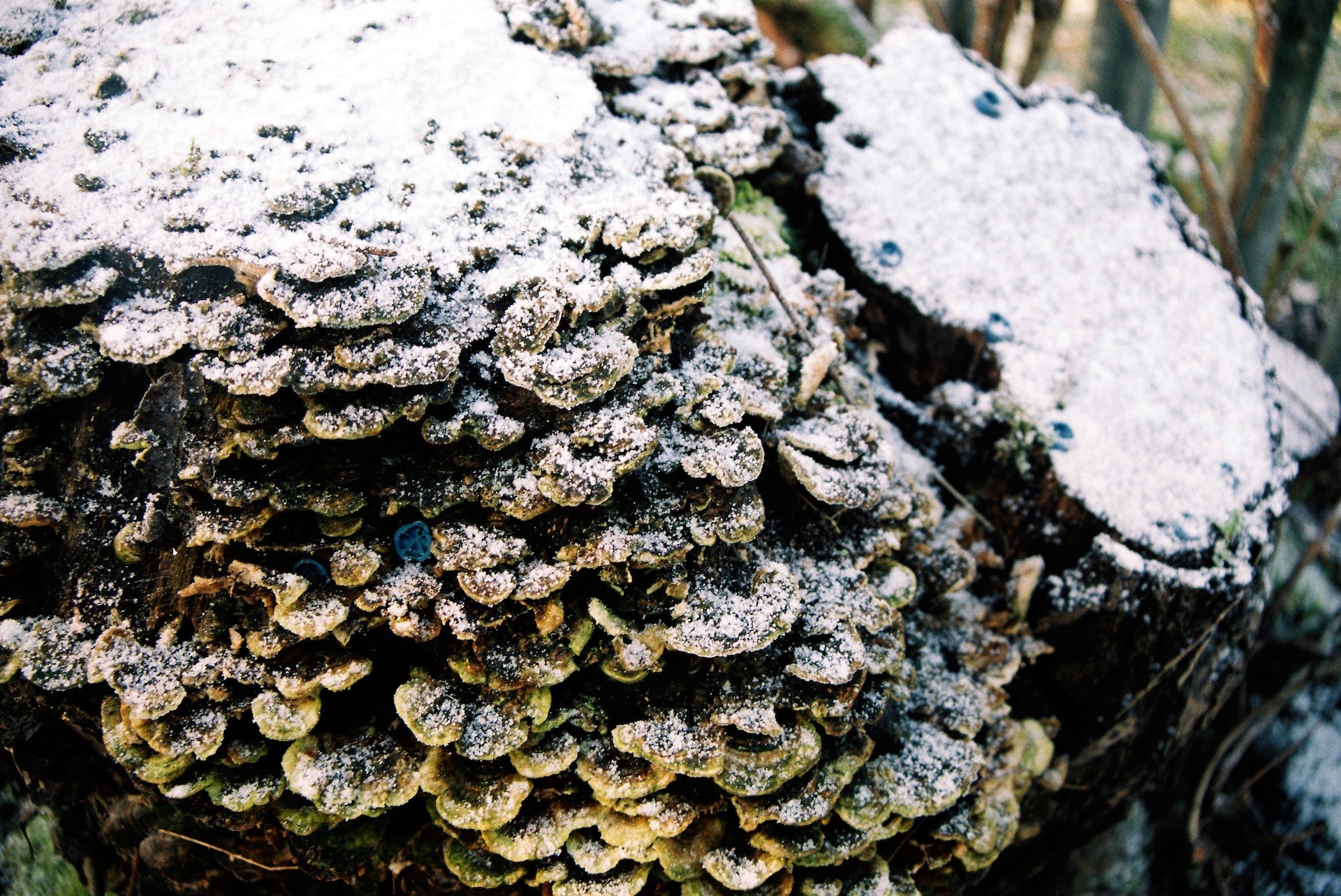 000015-1 – Camera Go Camera