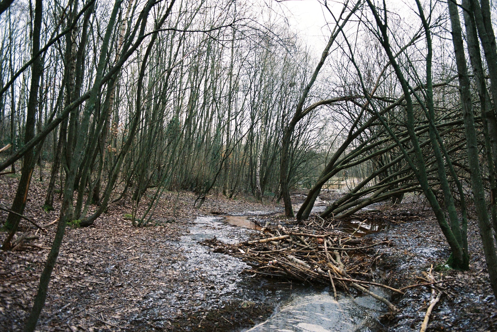 000021 – Camera Go Camera