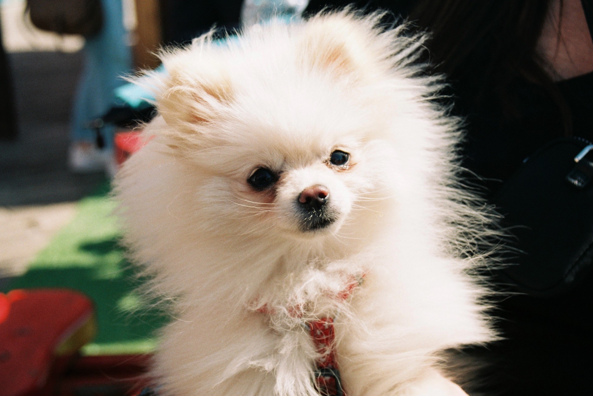 000018-2 – Camera Go Camera