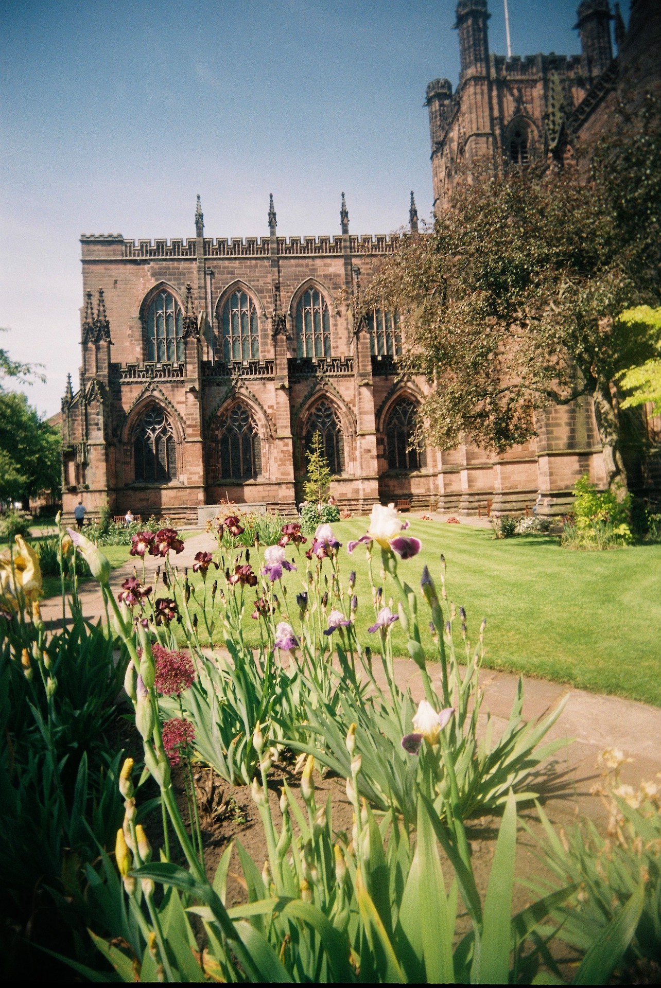 000023 – Camera Go Camera