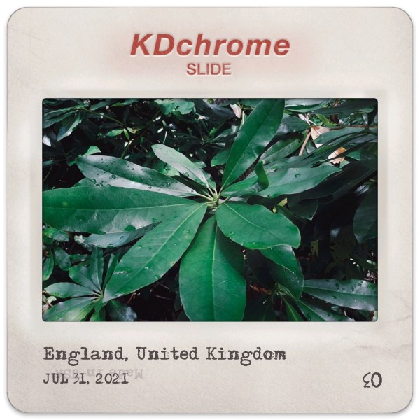 FIMO – Analogue Camera App – Camera Go Camera