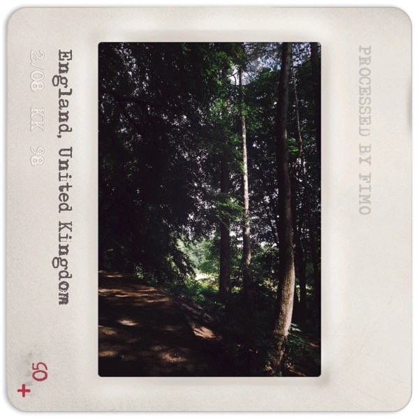 FIMO – Analogue Camera App – Camera Go Camera