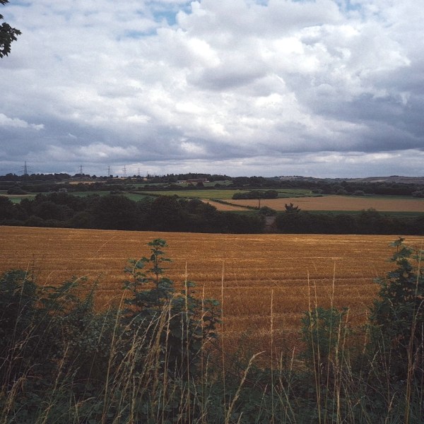 FIMO – Analogue Camera App – Camera Go Camera