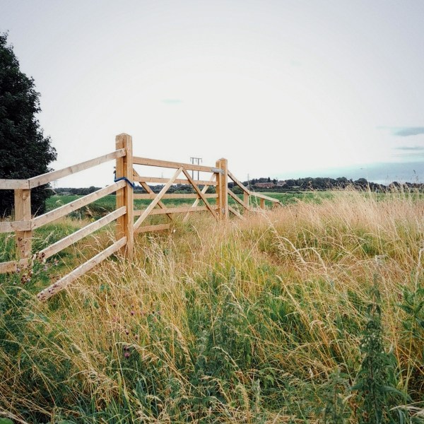 FIMO – Analogue Camera App – Camera Go Camera