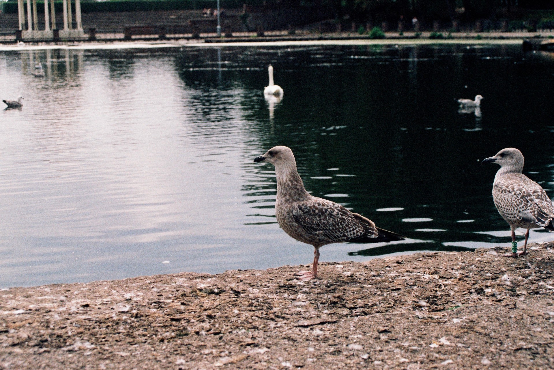 000022 – Camera Go Camera