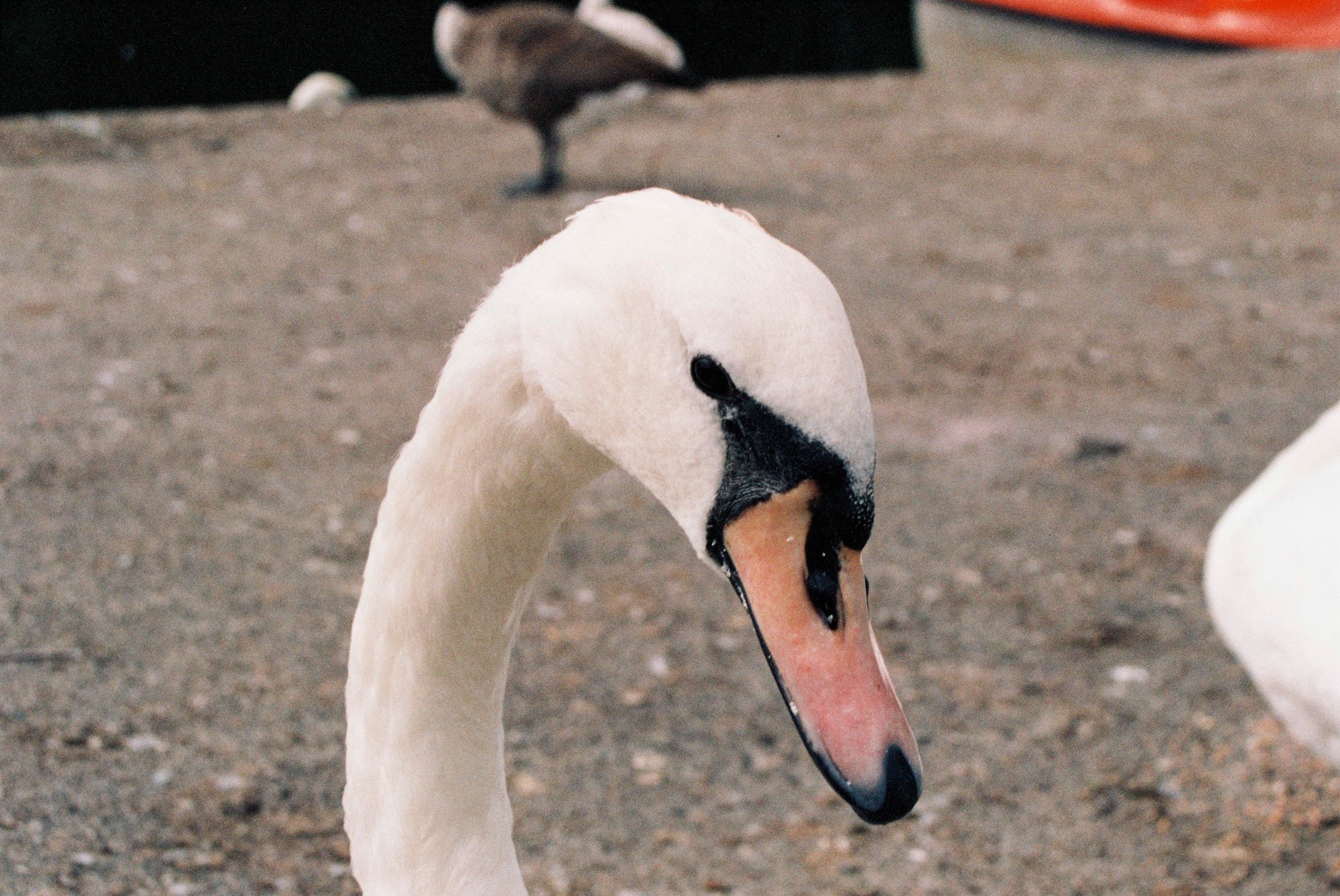 000026 – Camera Go Camera