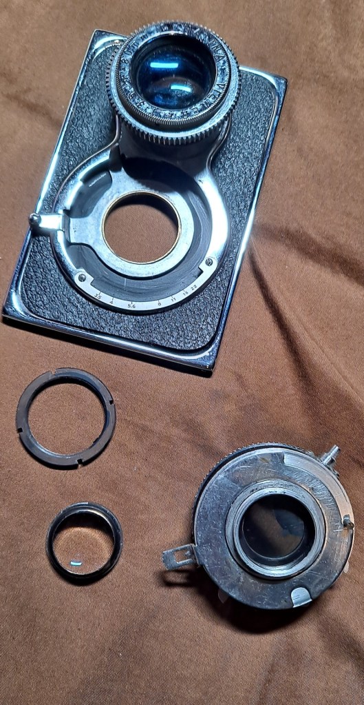 Halina AI – Camera Go Camera