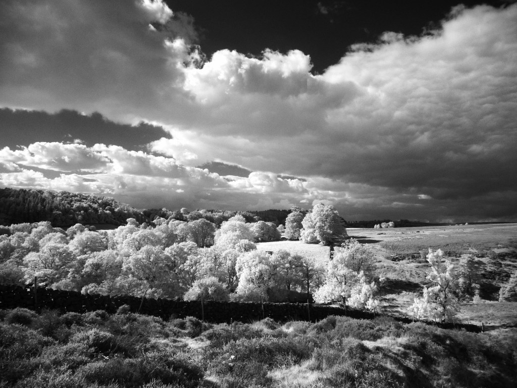 Photo Post: Digital Infrared conversion and Coloured Filters – Camera ...