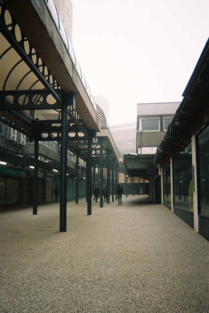 Photo Post: Disposable Camera Versus The Flashback – Camera Go Camera